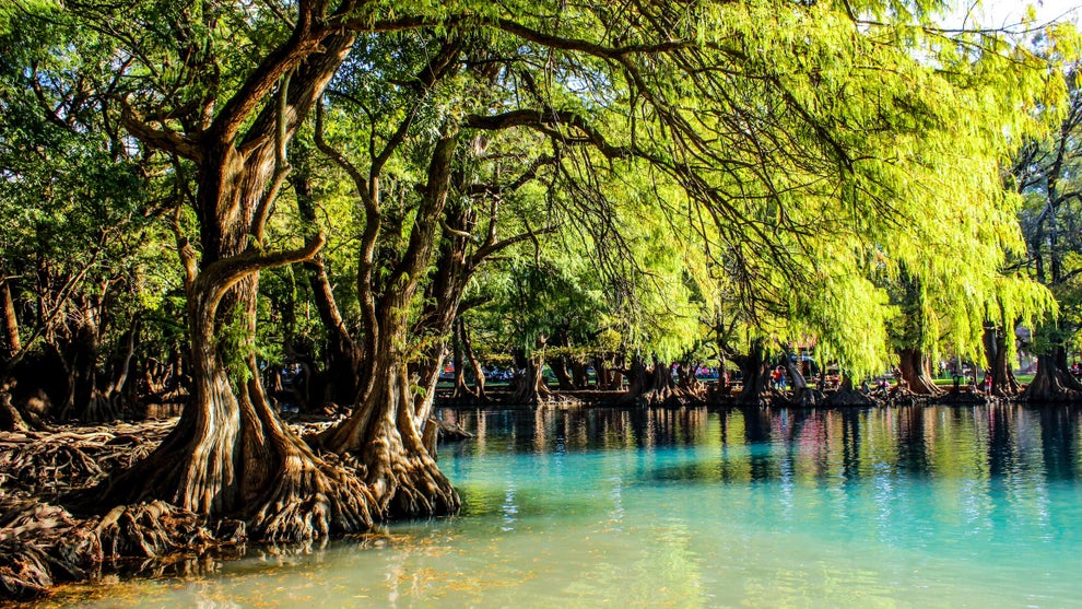 Best Place To Visit In Mexico If You’re Looking For Romance