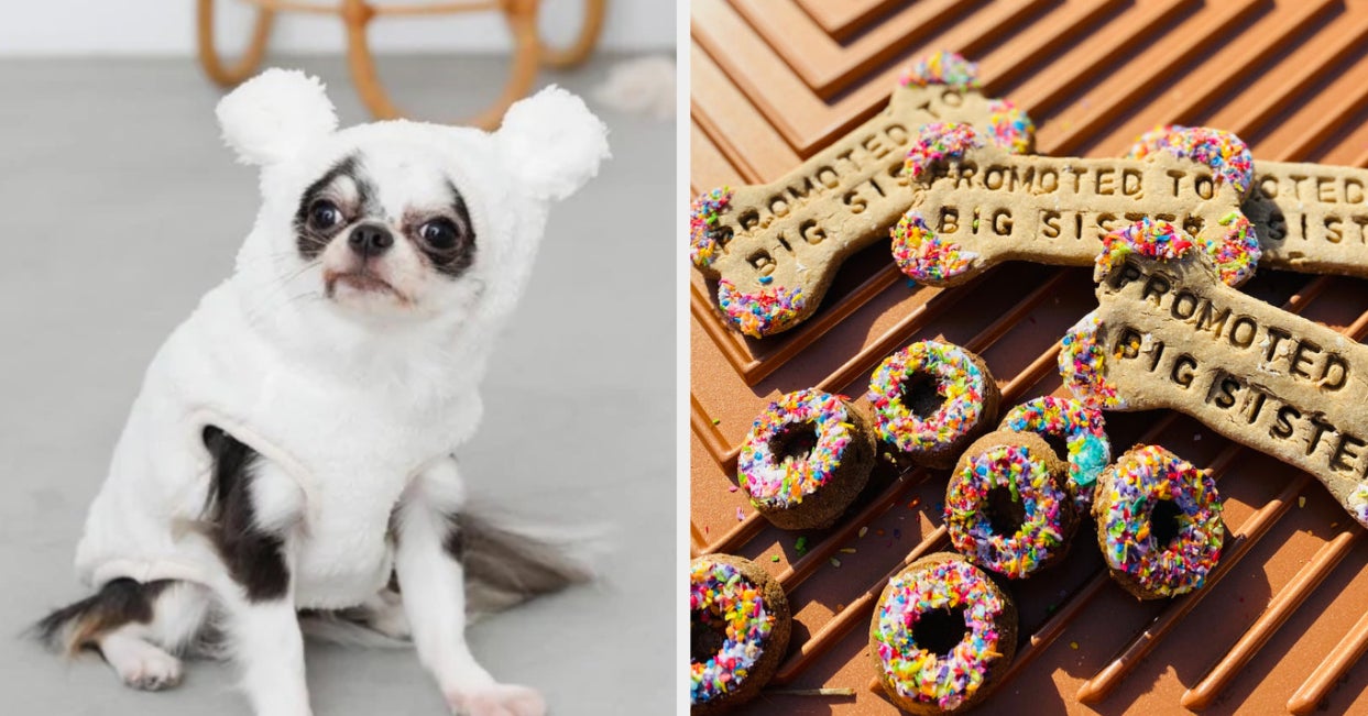 14 Products From Black-Owned Dog Brands You'll Wanna Spoil Your Dog ...
