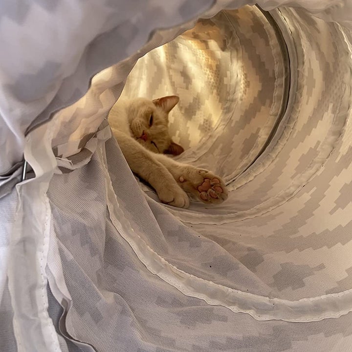 21 Whimsical Cat Beds That Are Really Just A Whole Vibe