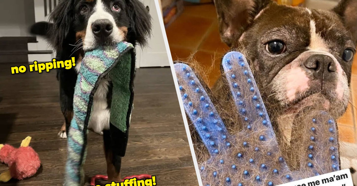 17 Small And Useful Dog Products For Pet Parents