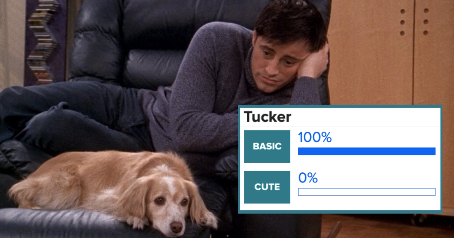Basic And Popular Dog Names Poll Quiz