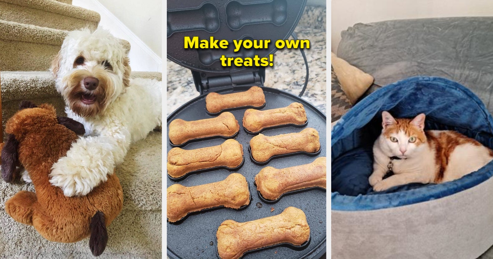 Just 25 Things That Are Great For Anyone With A Pet To Own