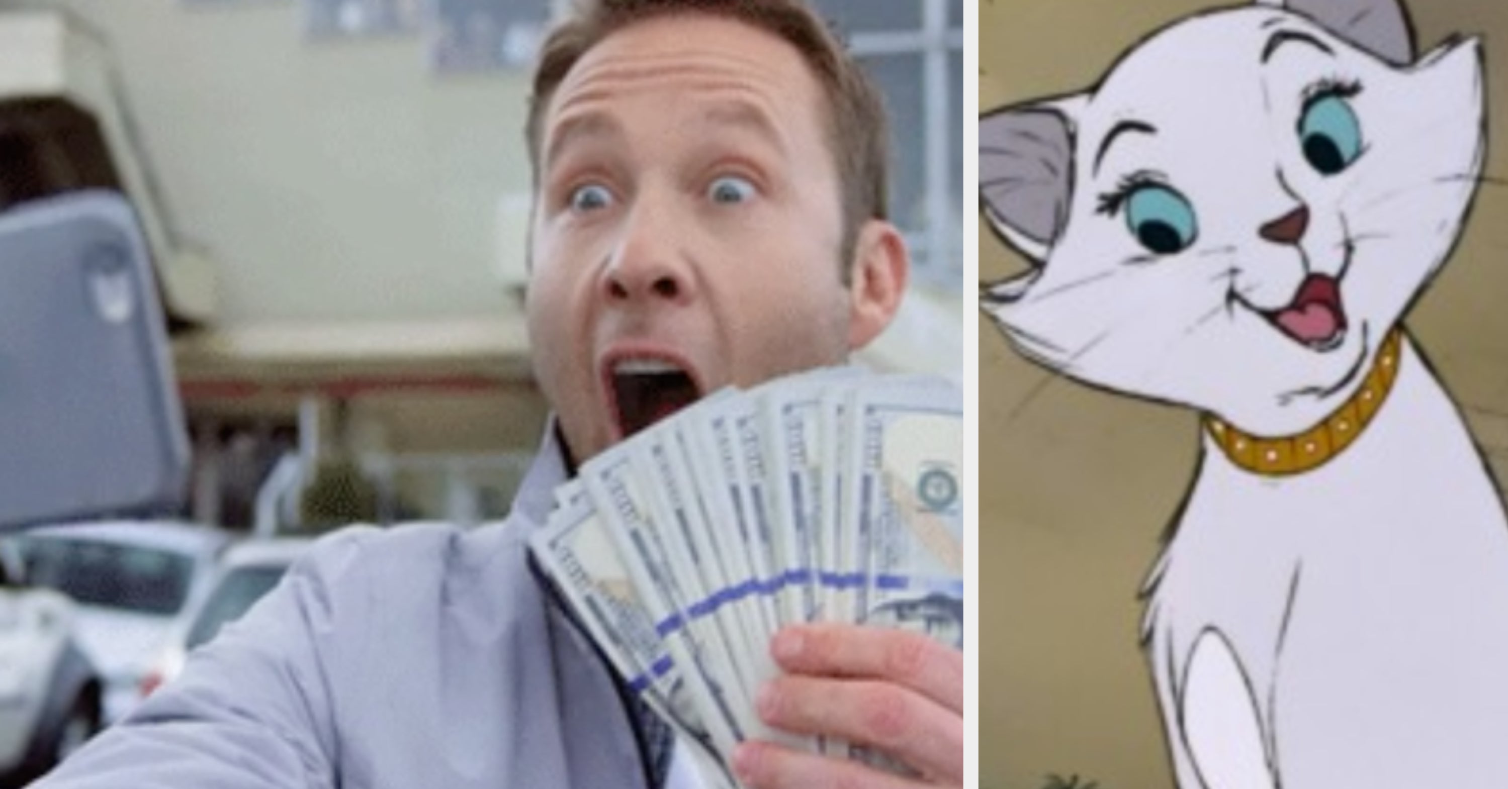 Plan Your Wealthy Life To Get A Disney Pet To Adopt