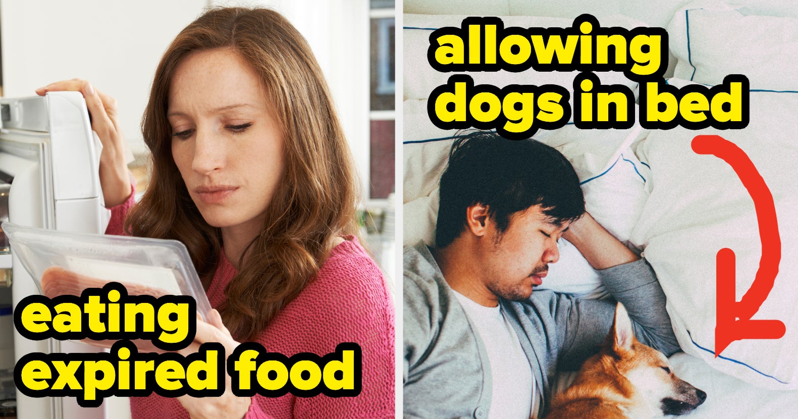 Disgusting Things Polls