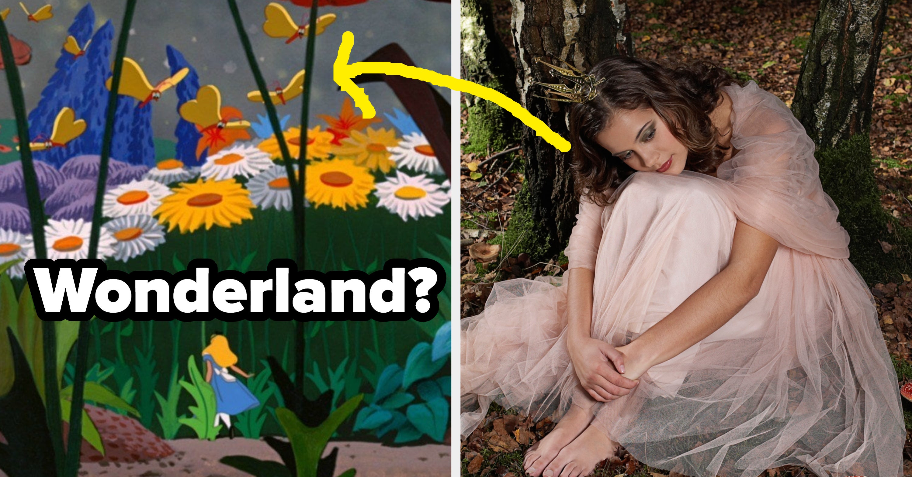 Live As A Princess To Reveal Which Your Fictional Kingdom