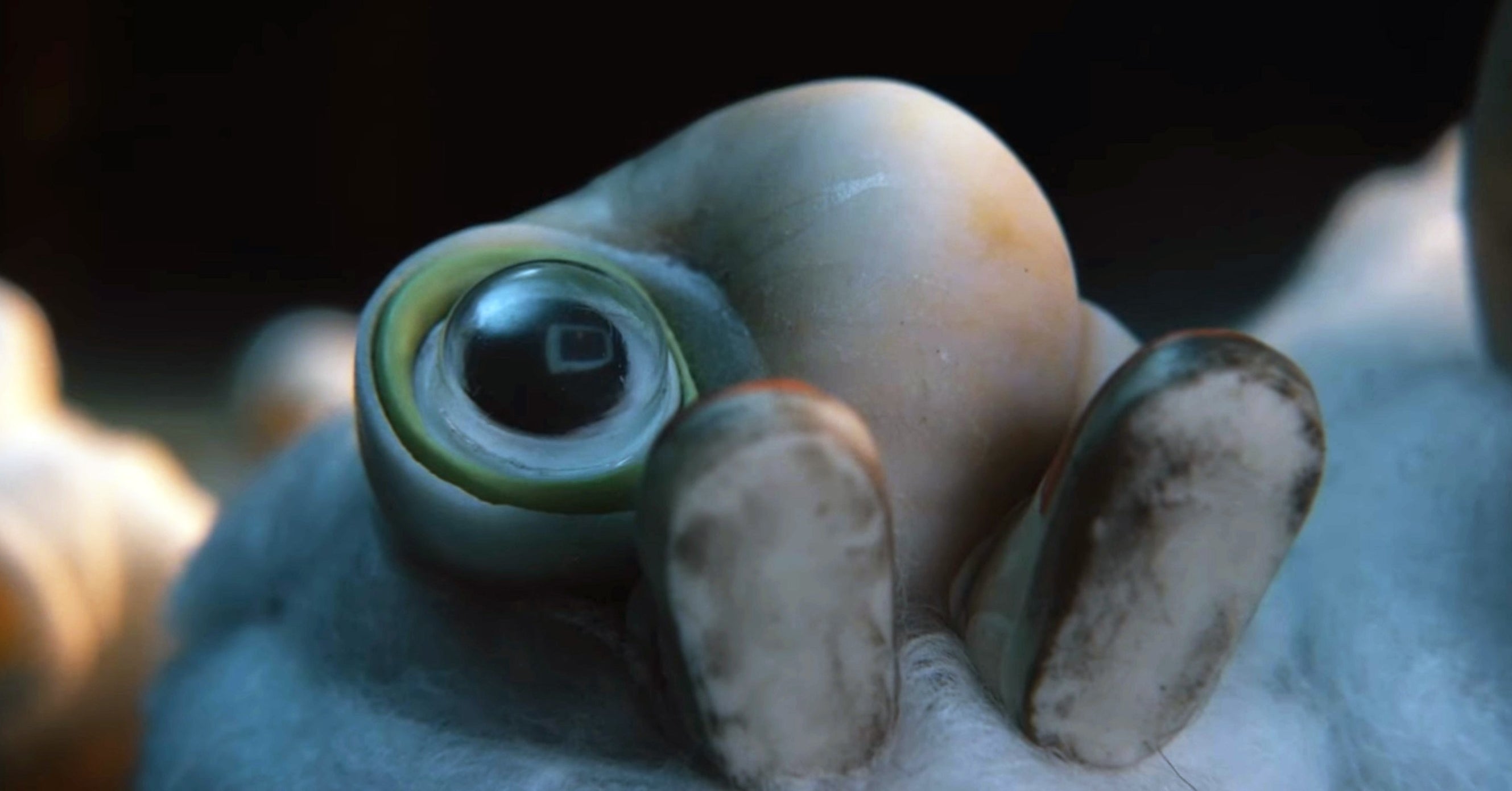 Marcel The Shell Is Getting A Movie—And The Trailer's Adorable