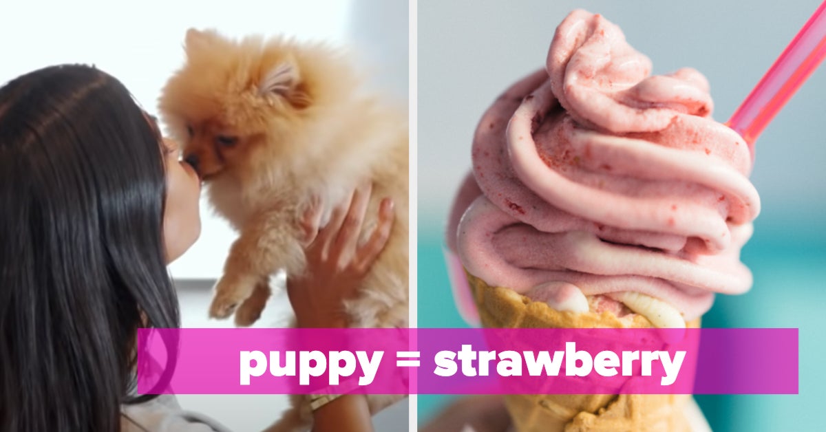 I Can Guess Your Fav Ice Cream Based On Animal Pics