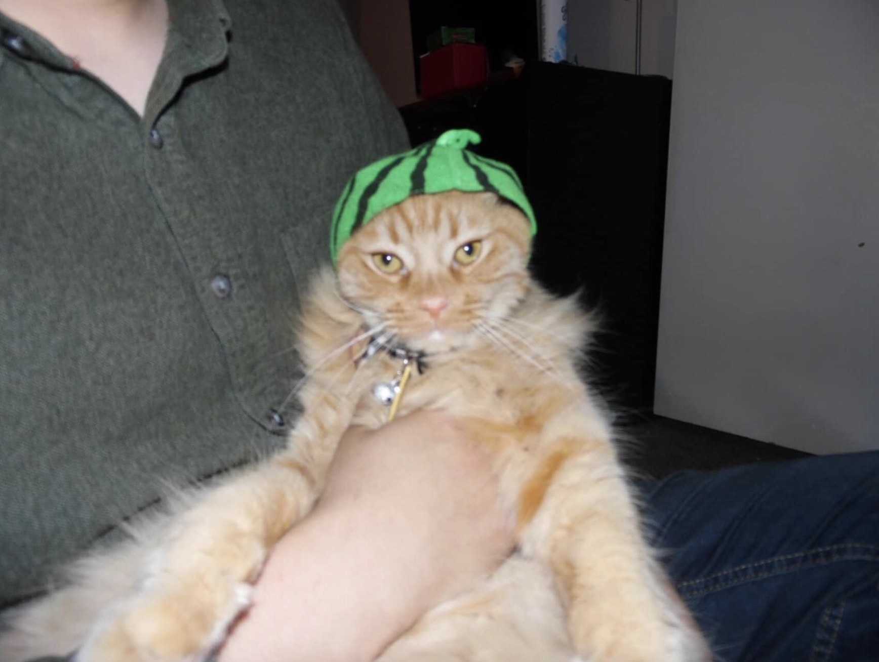 33 Things Our Readers Are Loving Right Now