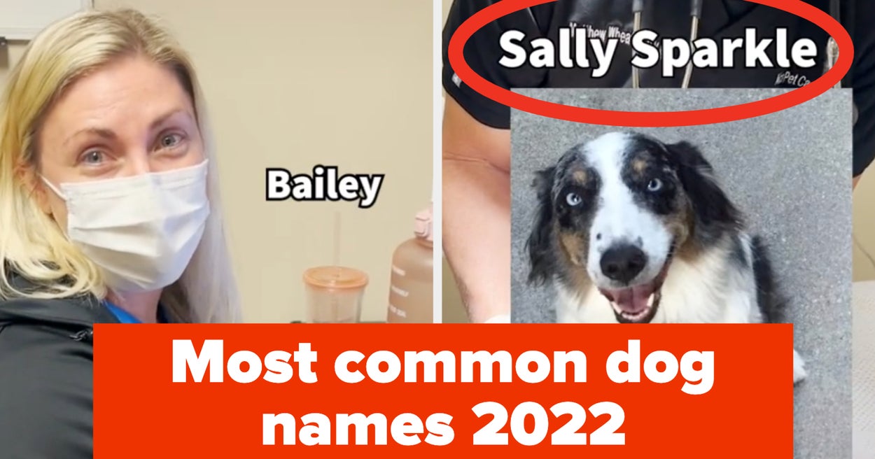 Vet Office Shares Most Common Dog Names vet-office-shares-most-common-dog-names