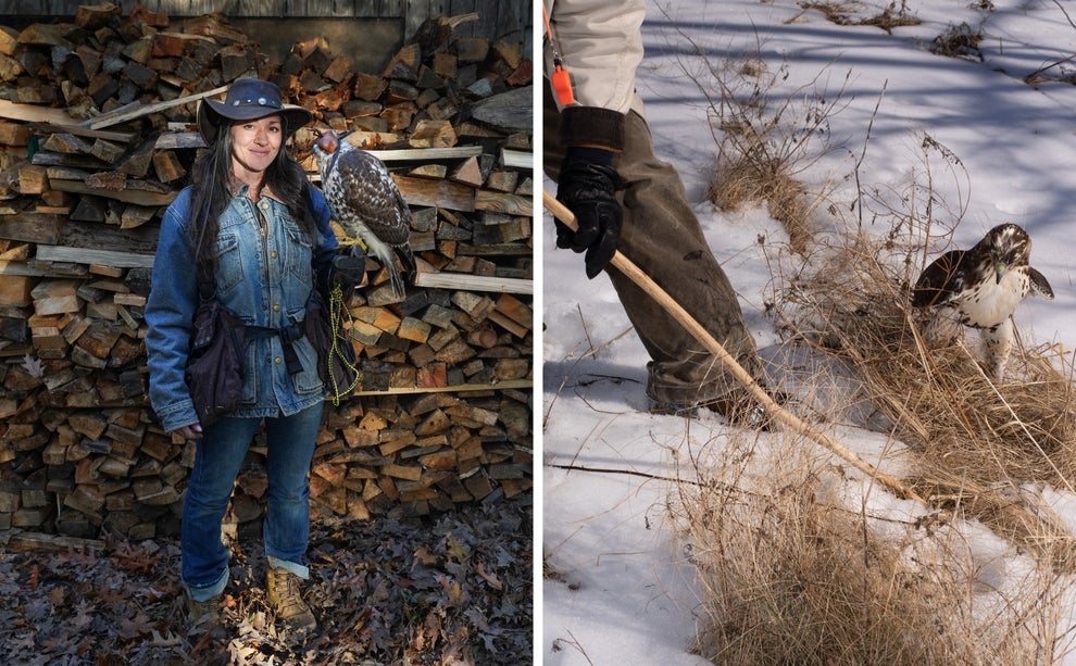 Falconry Is A Perfect Marriage Of Environment And Beauty