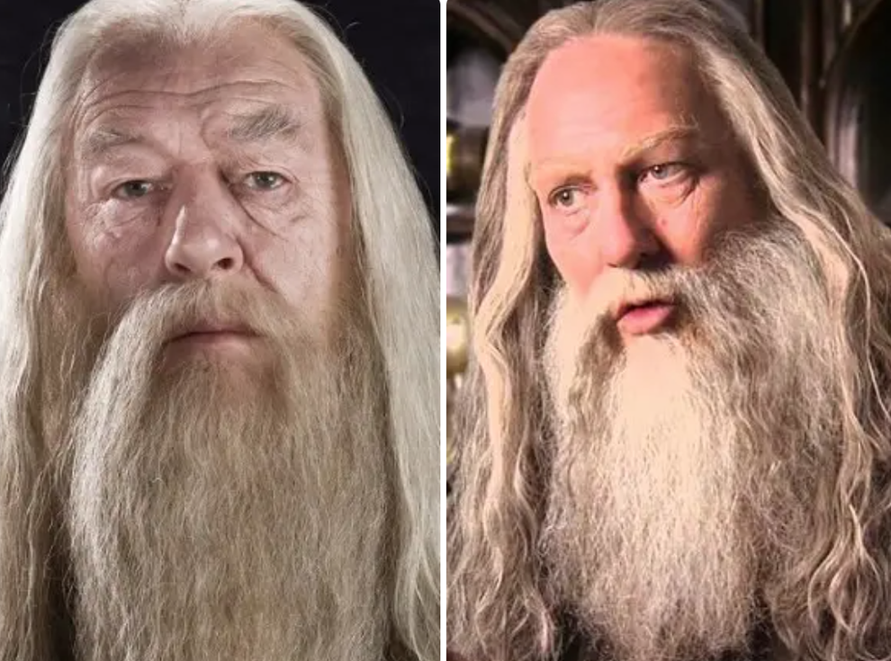 22 Facts About The "Harry Potter" Movie Makeup You Probably Never Knew