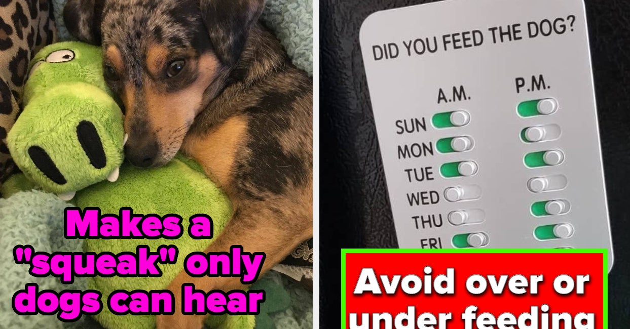 31 Products To Make Raising Your Hap-Hap-Happy Dog Easier