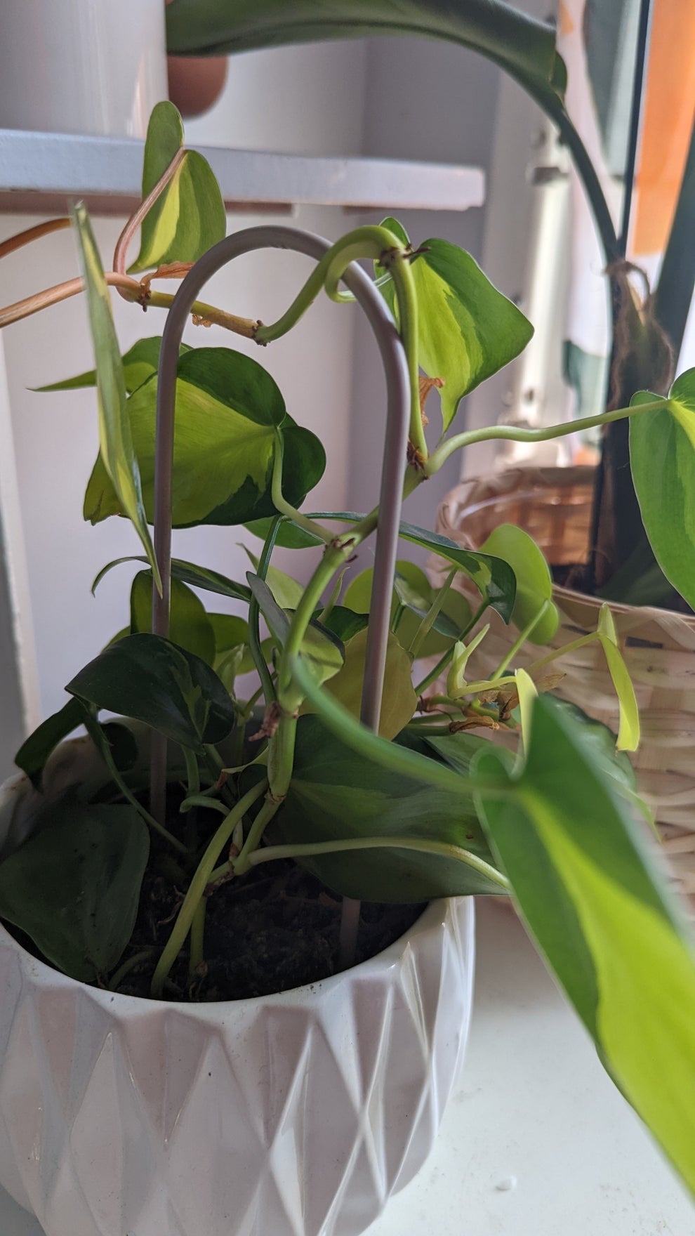 42 Best Products For 2022 I Tried