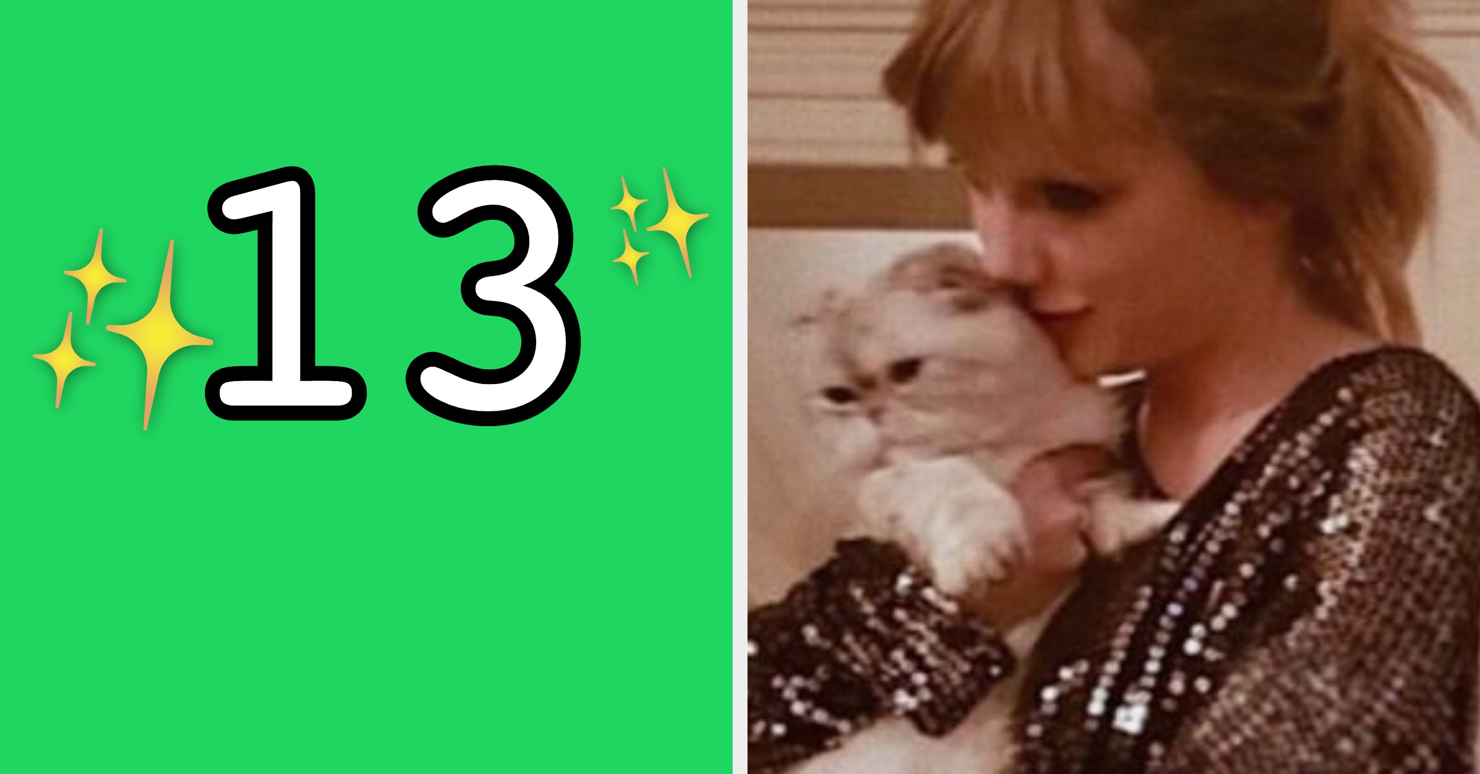 We Know Your Lucky Number Simply Based On The Cat Photos You Choose