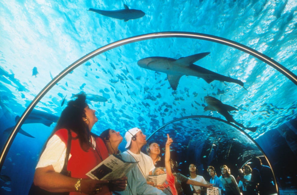 19 Pictures That Display How Wild Mall Culture Is