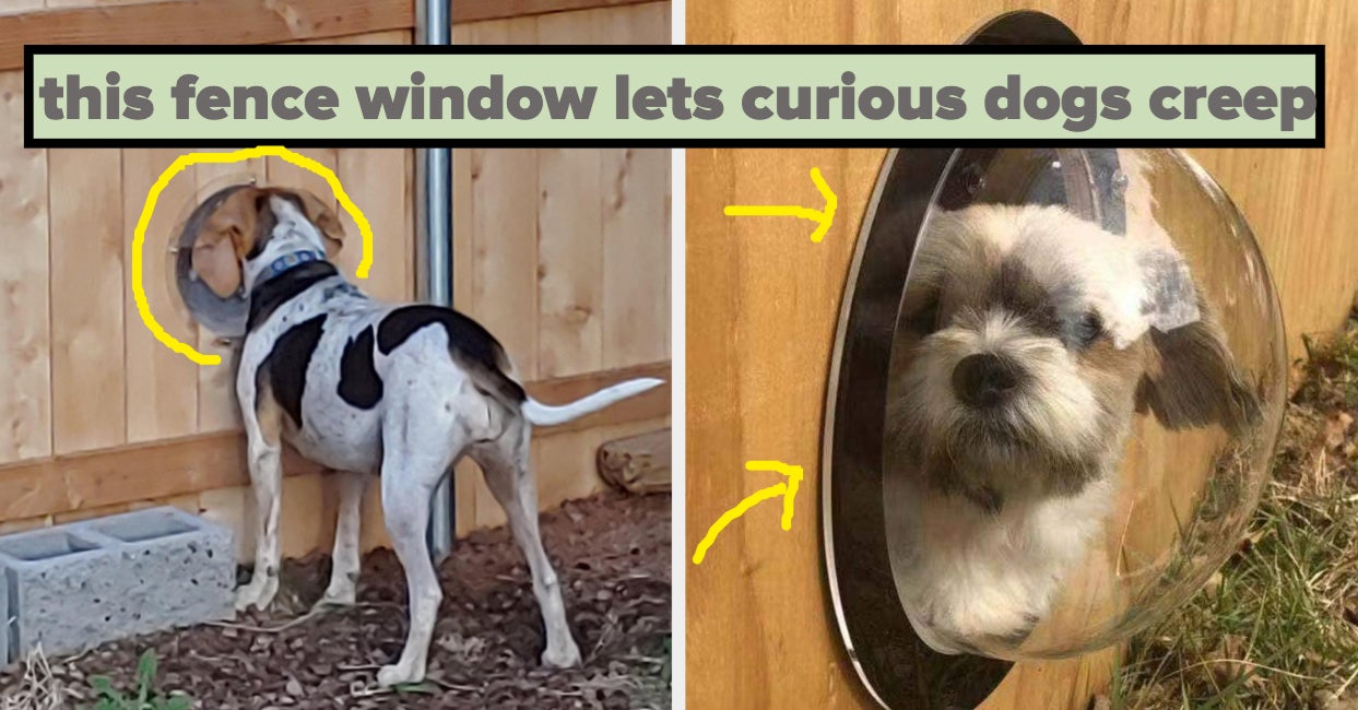 Just 25 Useful Window-Related Products