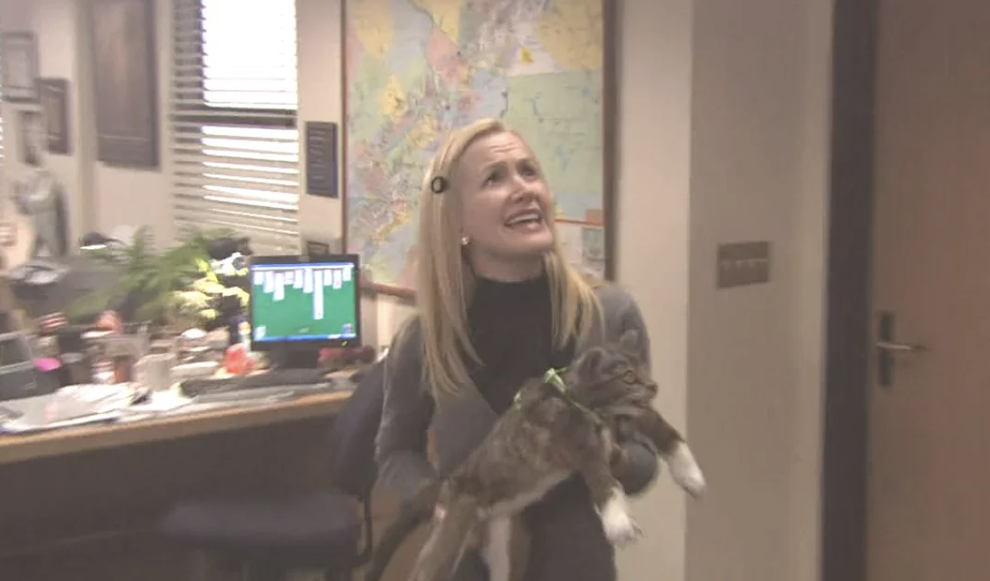 23 Funny And Cringey Moments From "The Office"