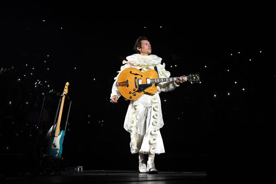 harry styles privilege