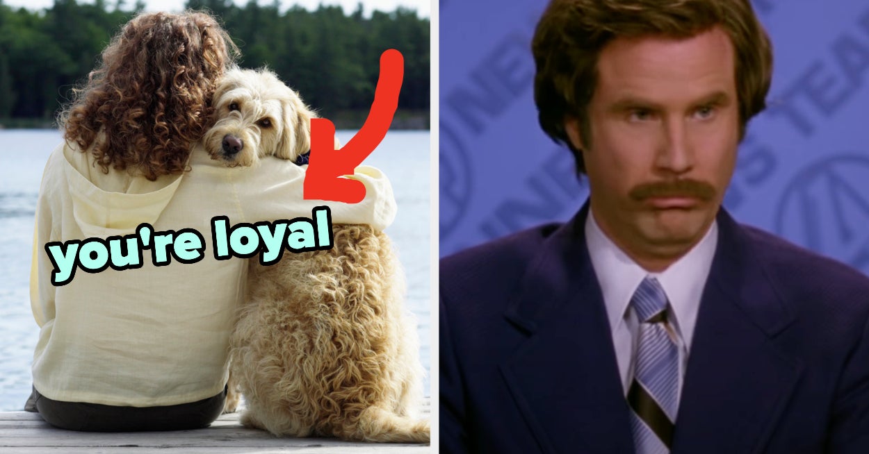 Picky Funny Movies To Reveal Best Quality Quiz