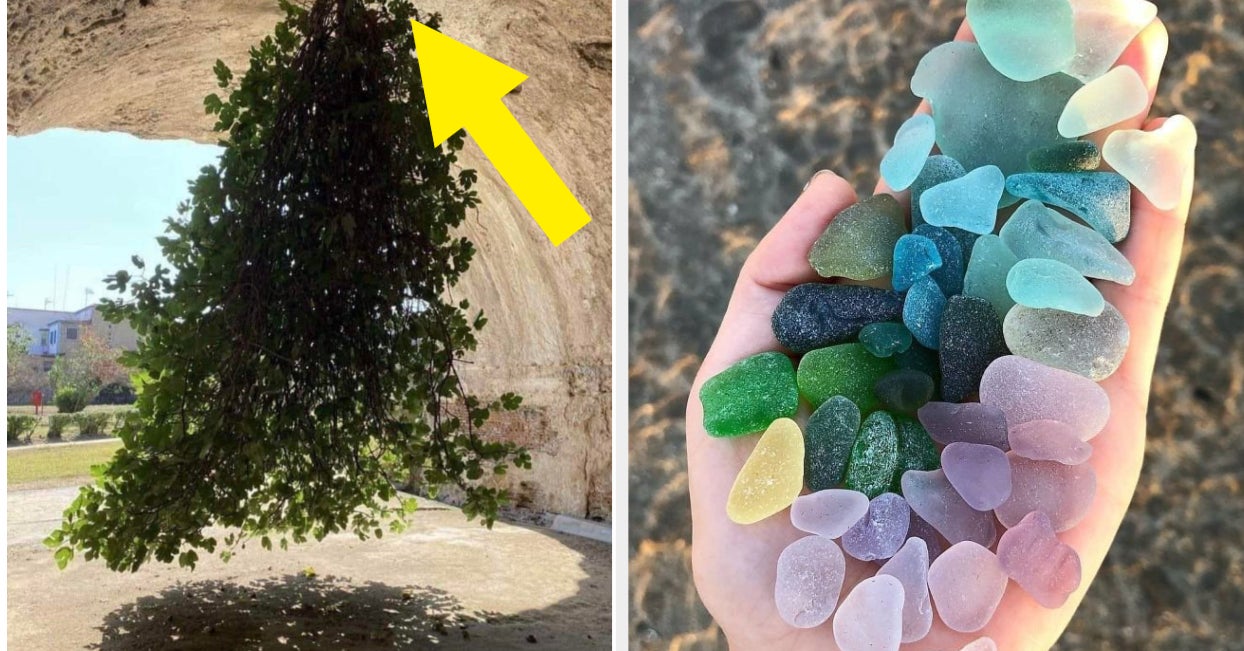 30 Unreal Images That Are, In Fact, 100% Real