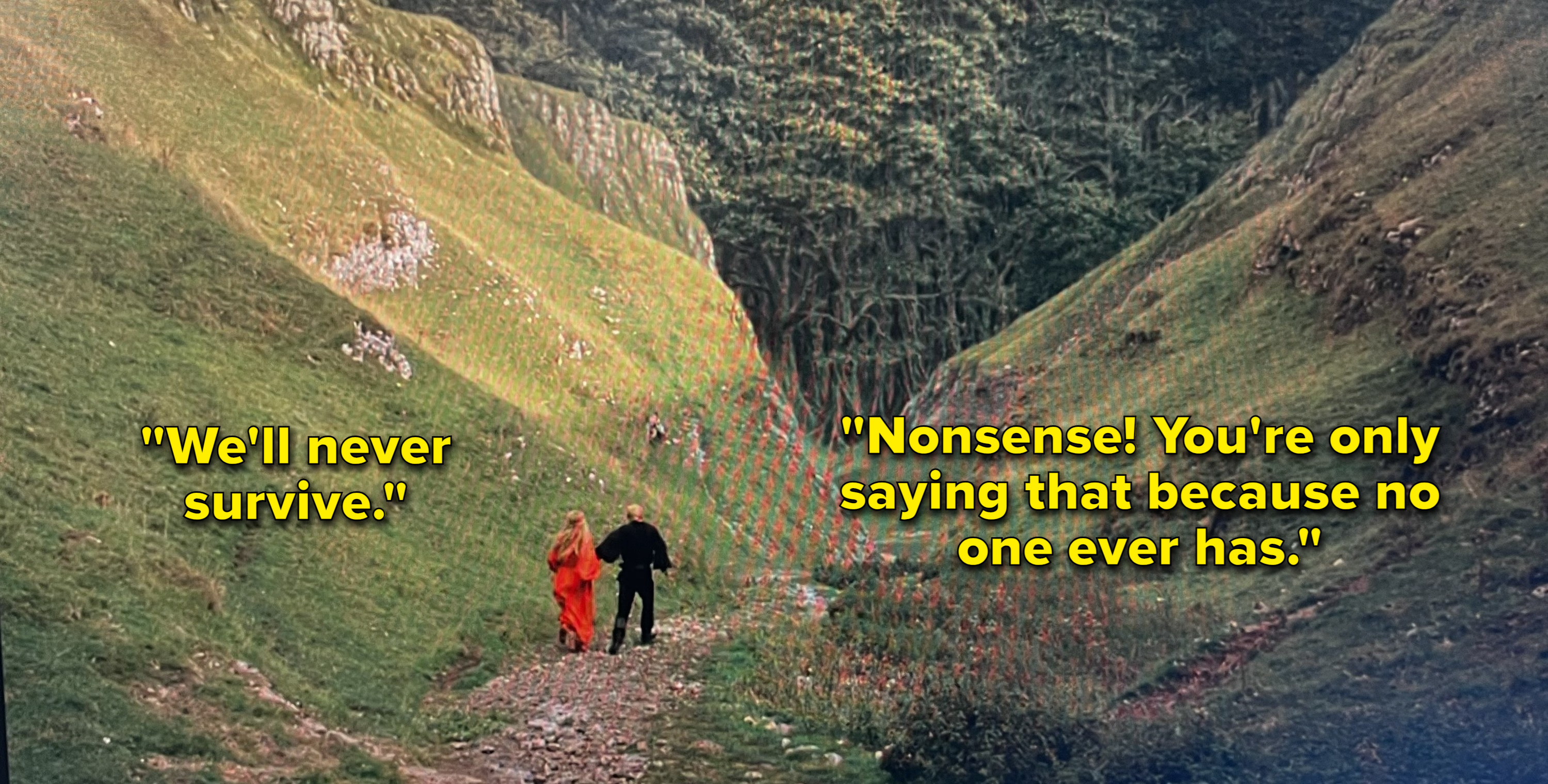 43 Princess Bride Quotes That Are Honestly Timeless