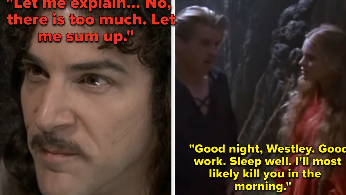 Princess Bride Quotes Life Is Pain