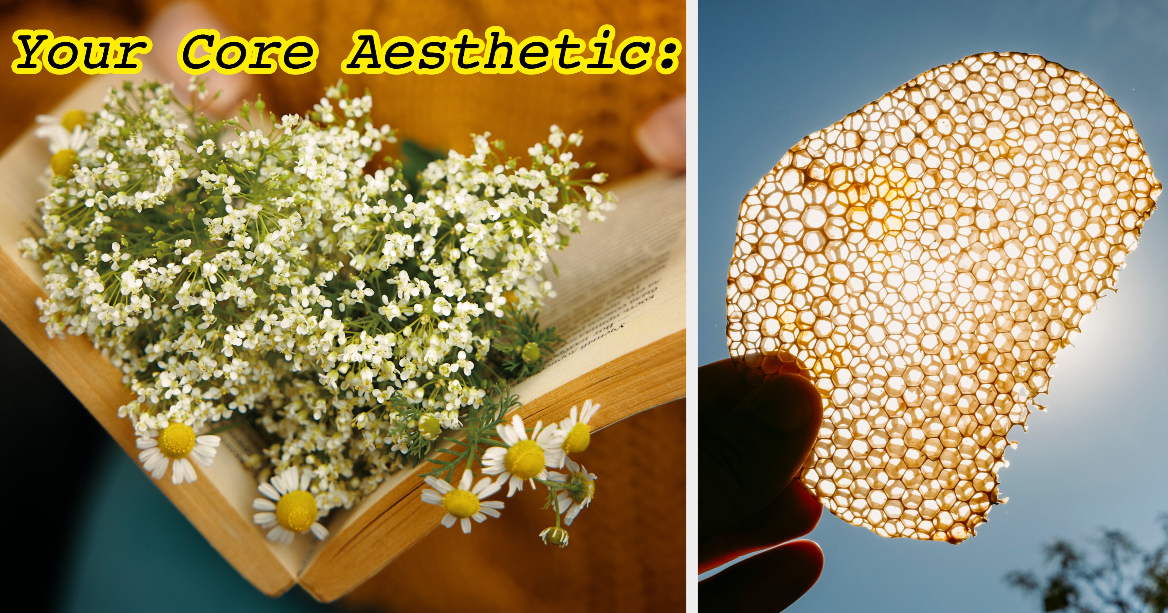 What Core Aesthetic Are You?