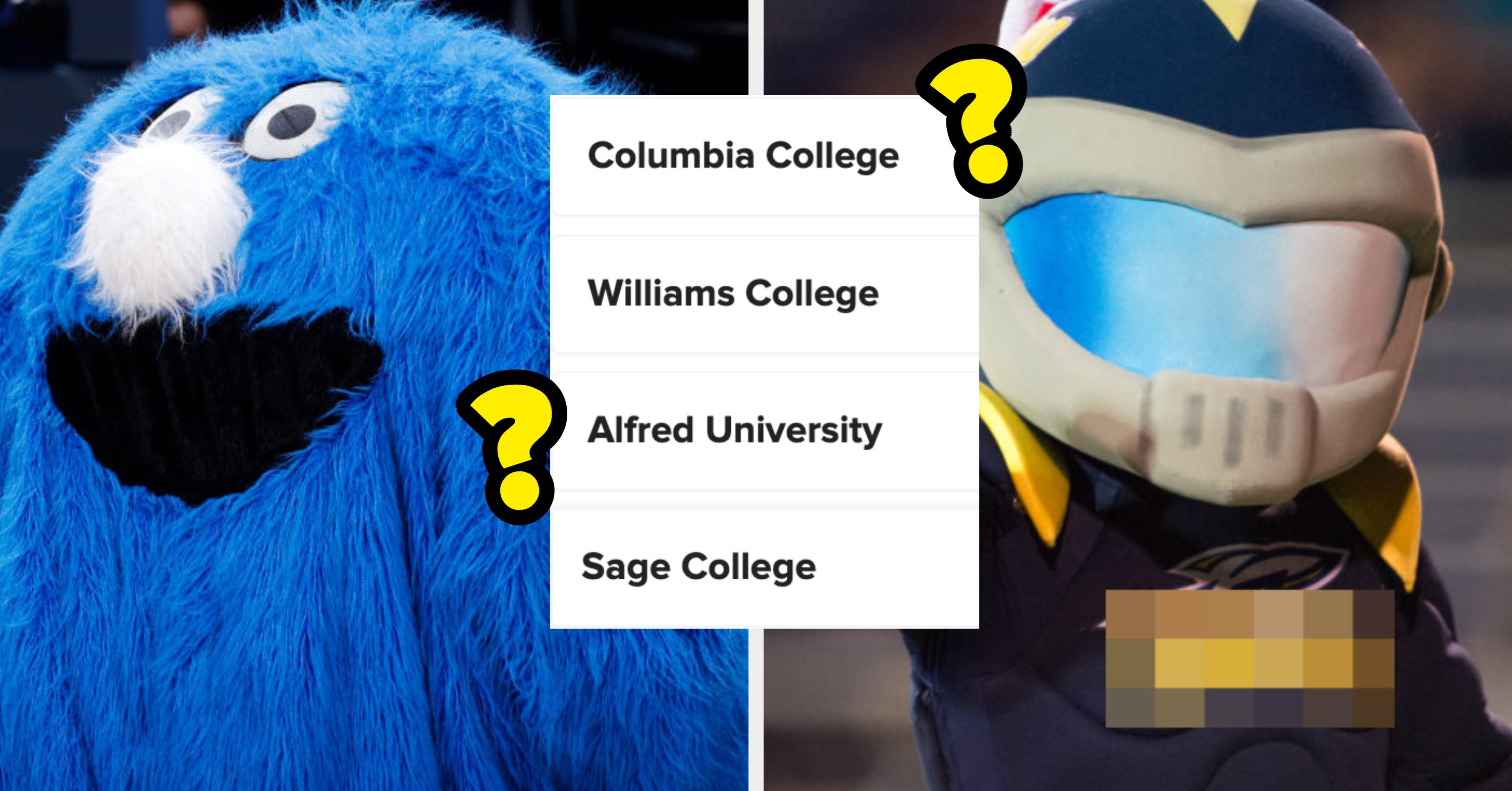 Can You Match The Mascot To The University It's From?