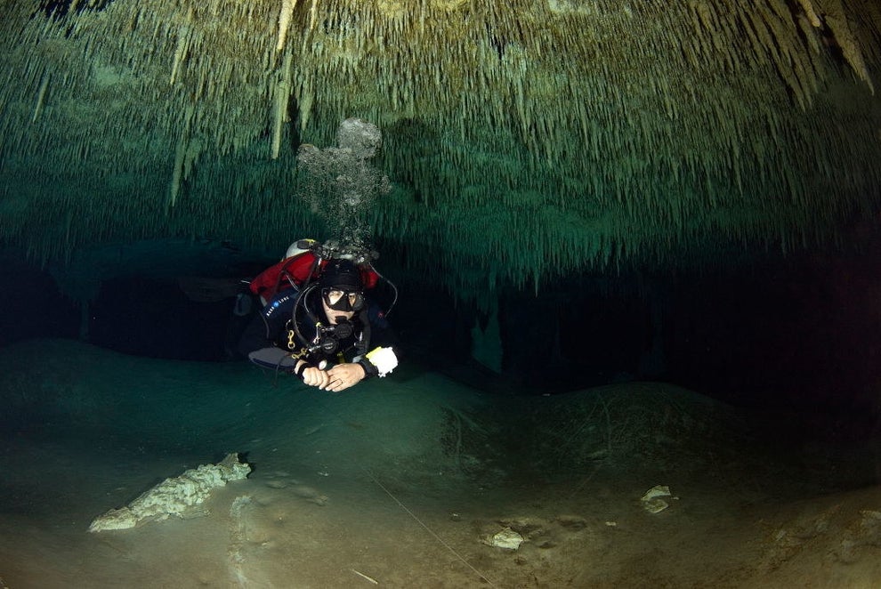 Scary Ocean Encounters By Divers, Sailors, And Surfers