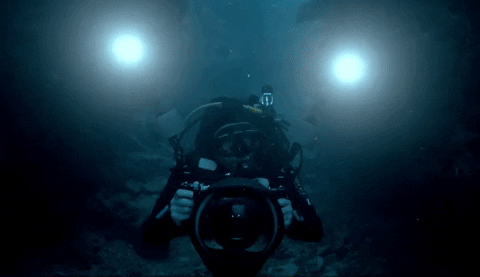 Scary Ocean Encounters By Divers, Sailors, And Surfers