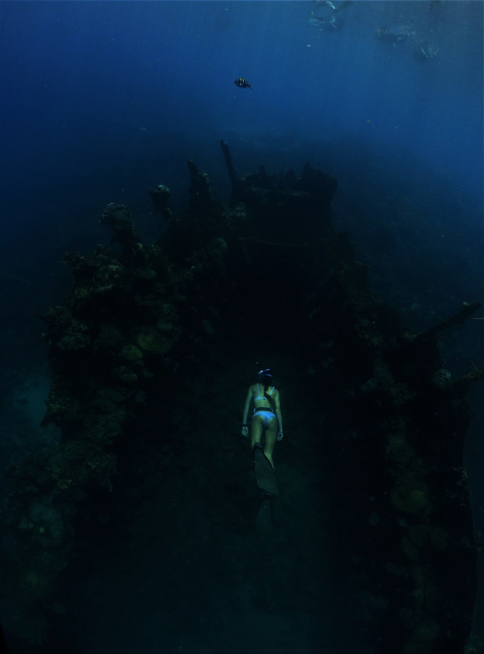 Scary Ocean Encounters By Divers, Sailors, And Surfers