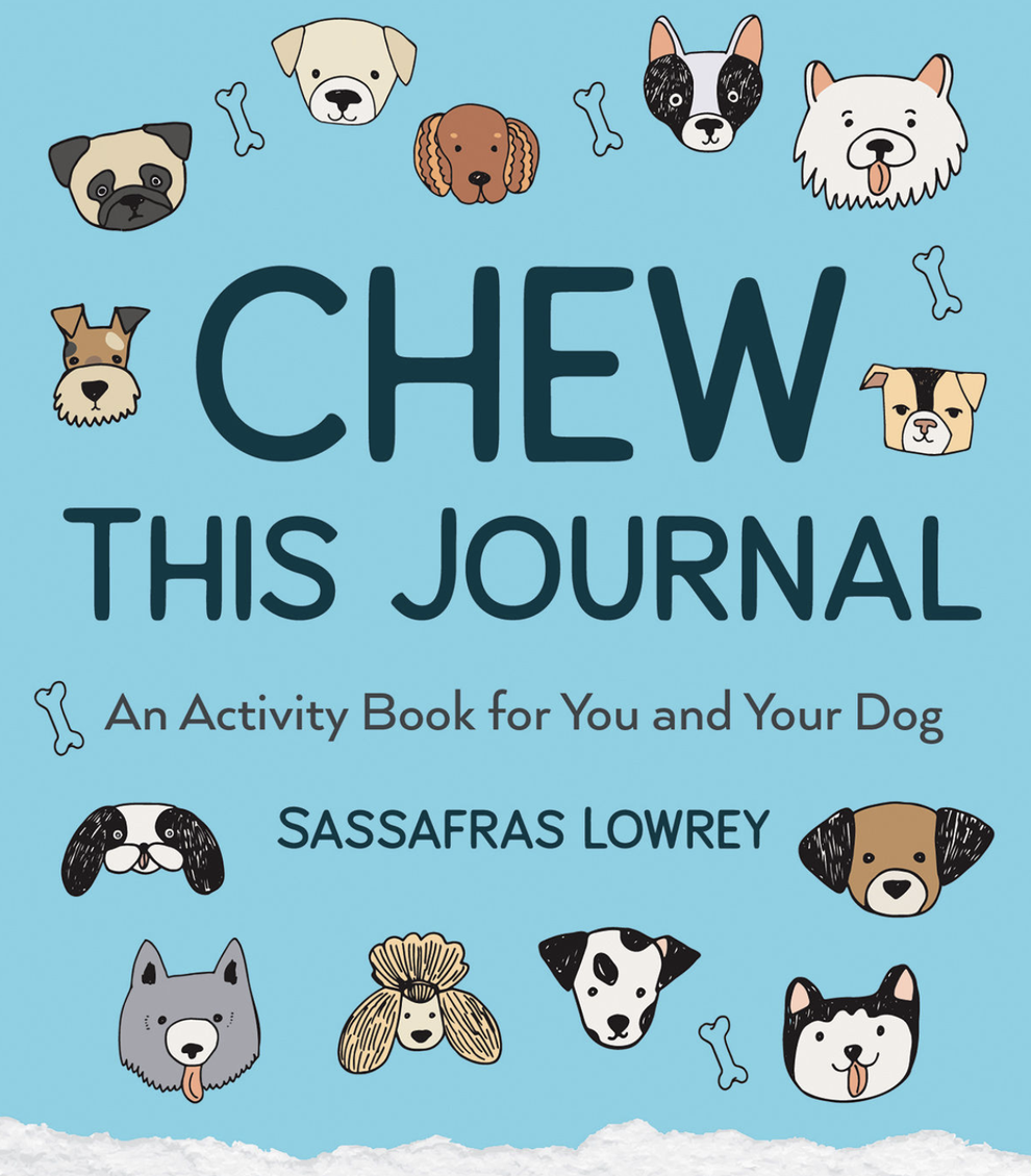 21 Best Guided Journals And Activity Books For Adults