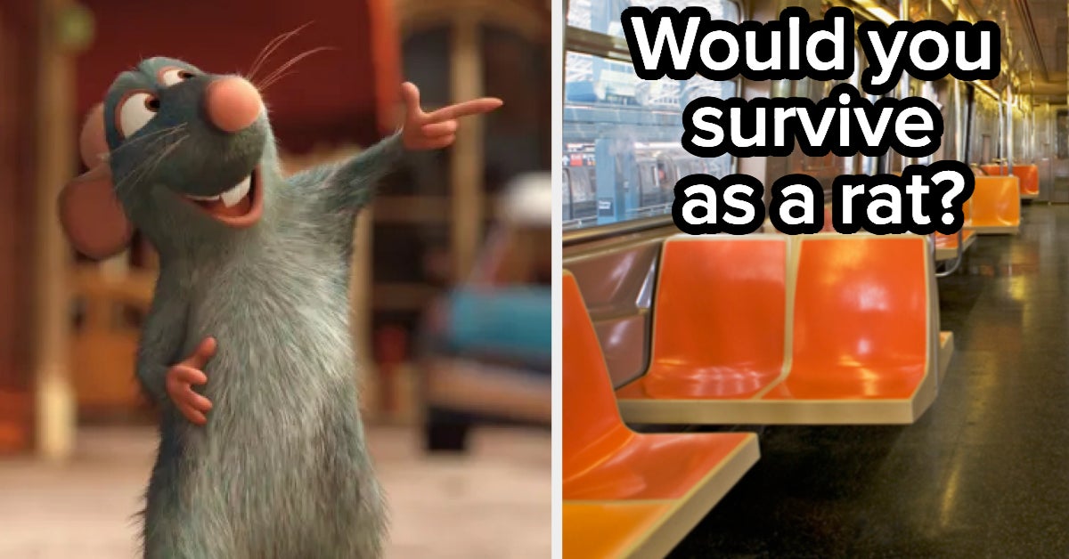 Pretend To Be A Rat For 24 Hours And I'll Determine If You'd Survive Or Not