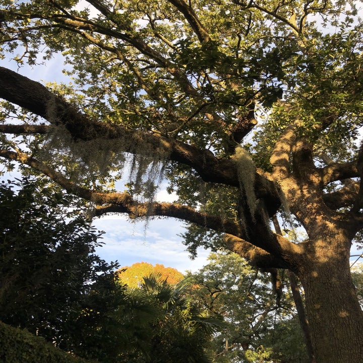 15 Things To Do In New Orleans Whether It's Your First Or Fifth Visit