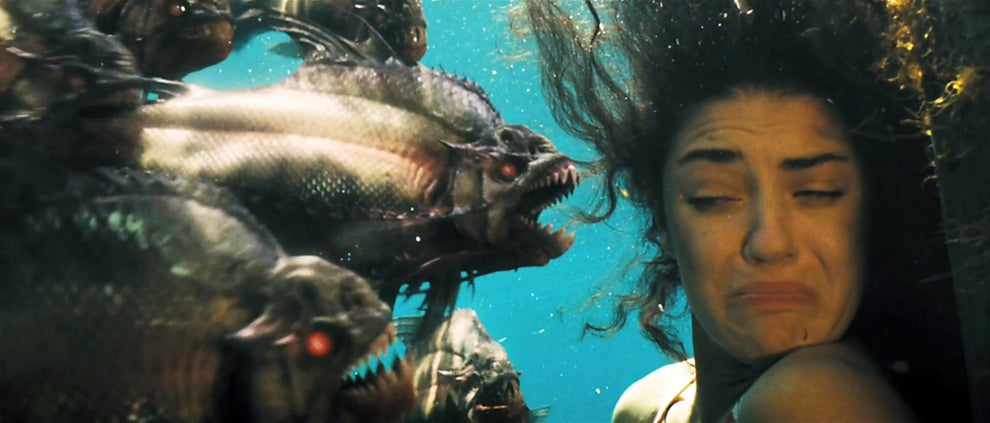 The 24 Best Animal Attack Horror Movies, Ranked