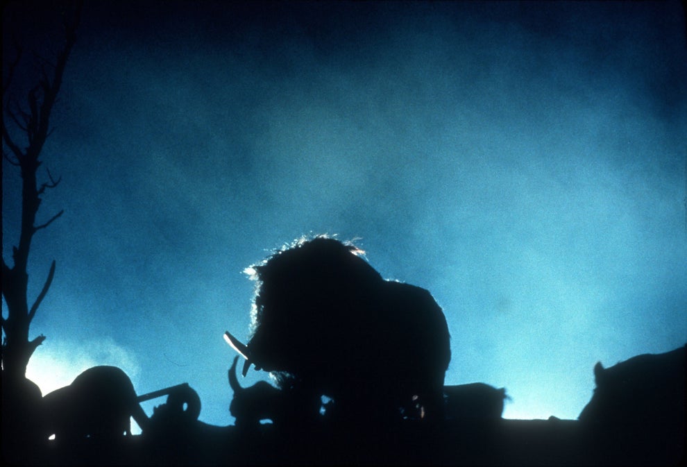 The 24 Best Animal Attack Horror Movies, Ranked