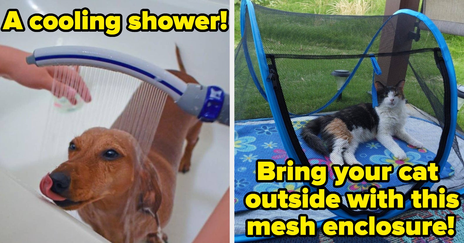 It's Getting Warm Out, Here Are 30 Things To Help Your Pet Cool Down ...
