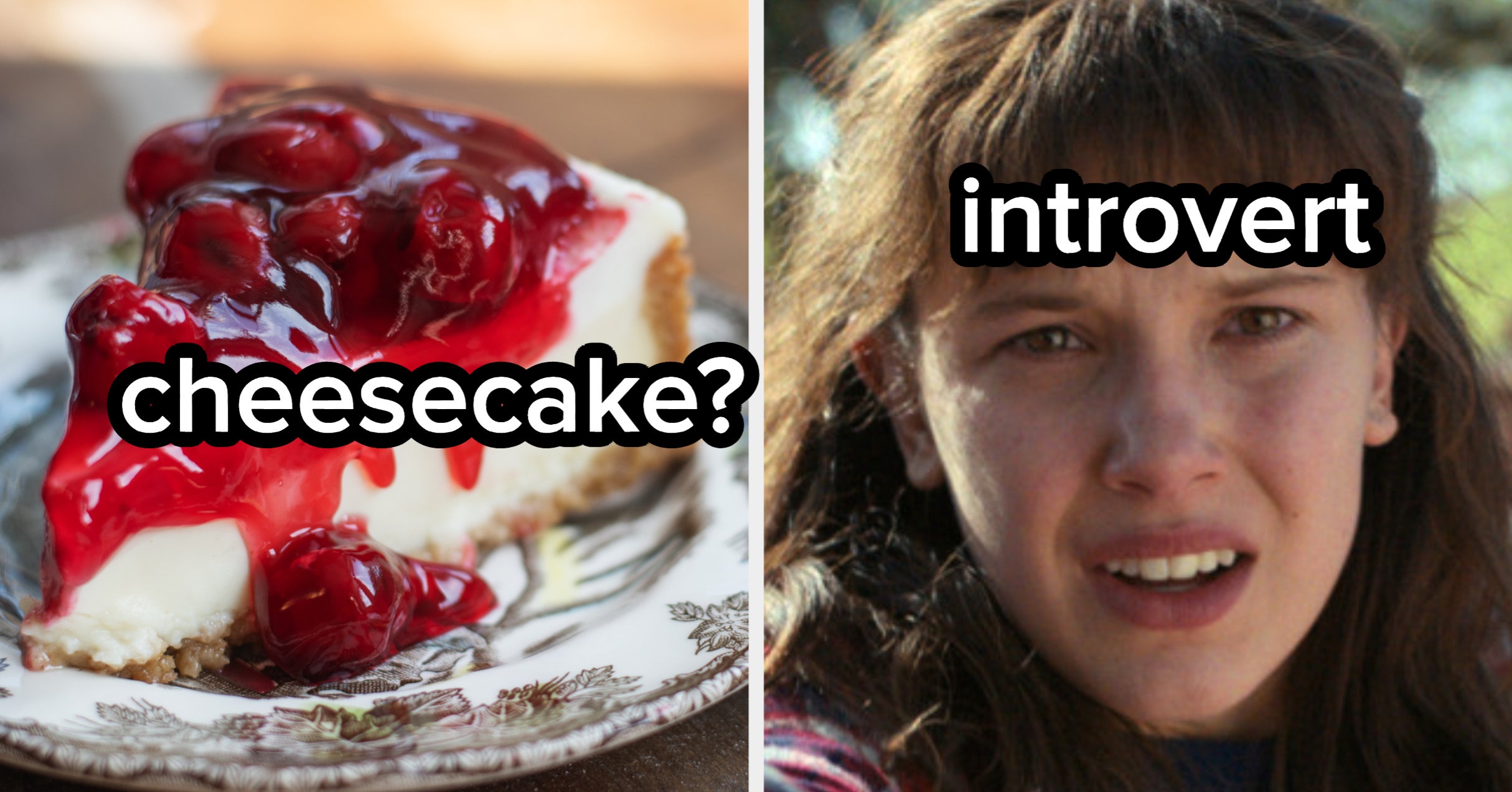 Are You An Introvert Or Extrovert? Bake A Cake And Find Out