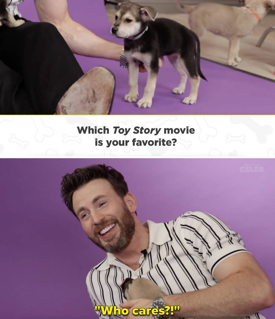 chris evans funny interview