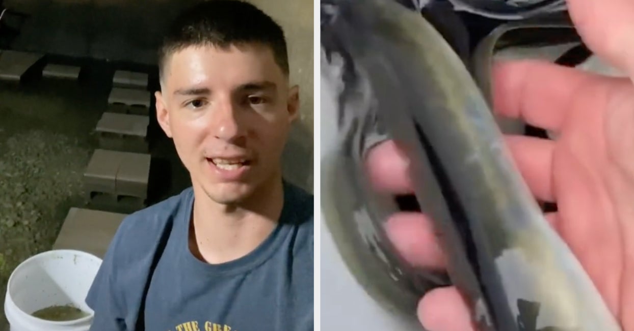 TikTok's Eel Pit Guy Nick Tobler Answered Our Eel Questions