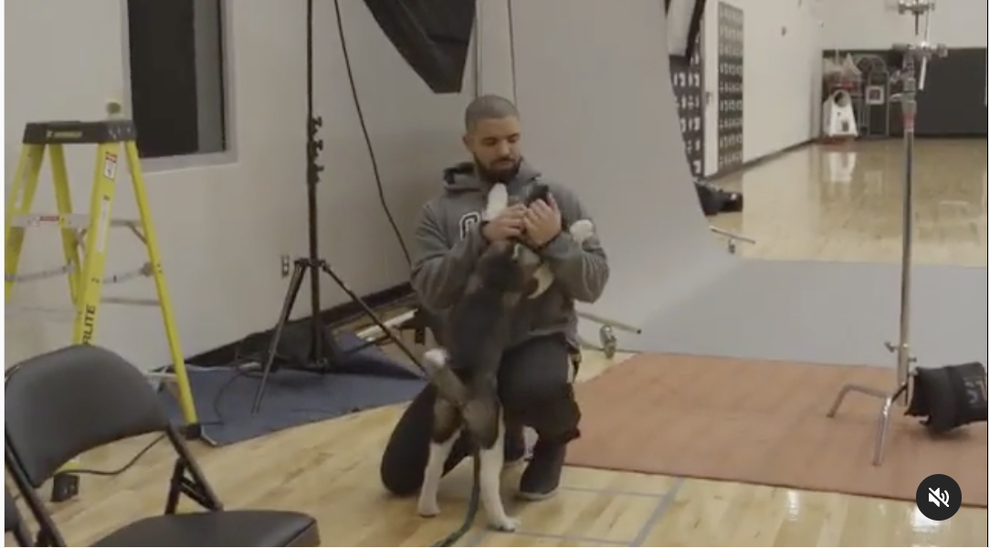 Drake Gave His Dog To A Trainer During The Summer Sixteen Hectic Tour