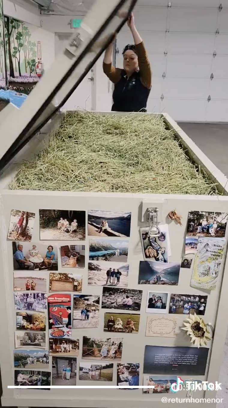 return home terramation