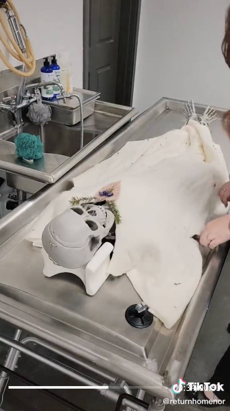 return home terramation