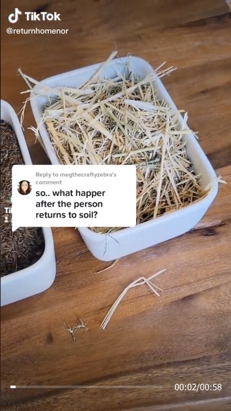 return home terramation