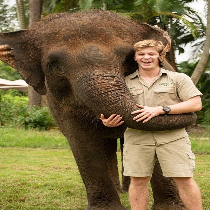 PSA: Stop Reminding Rob Irwin That His Father Is Dead