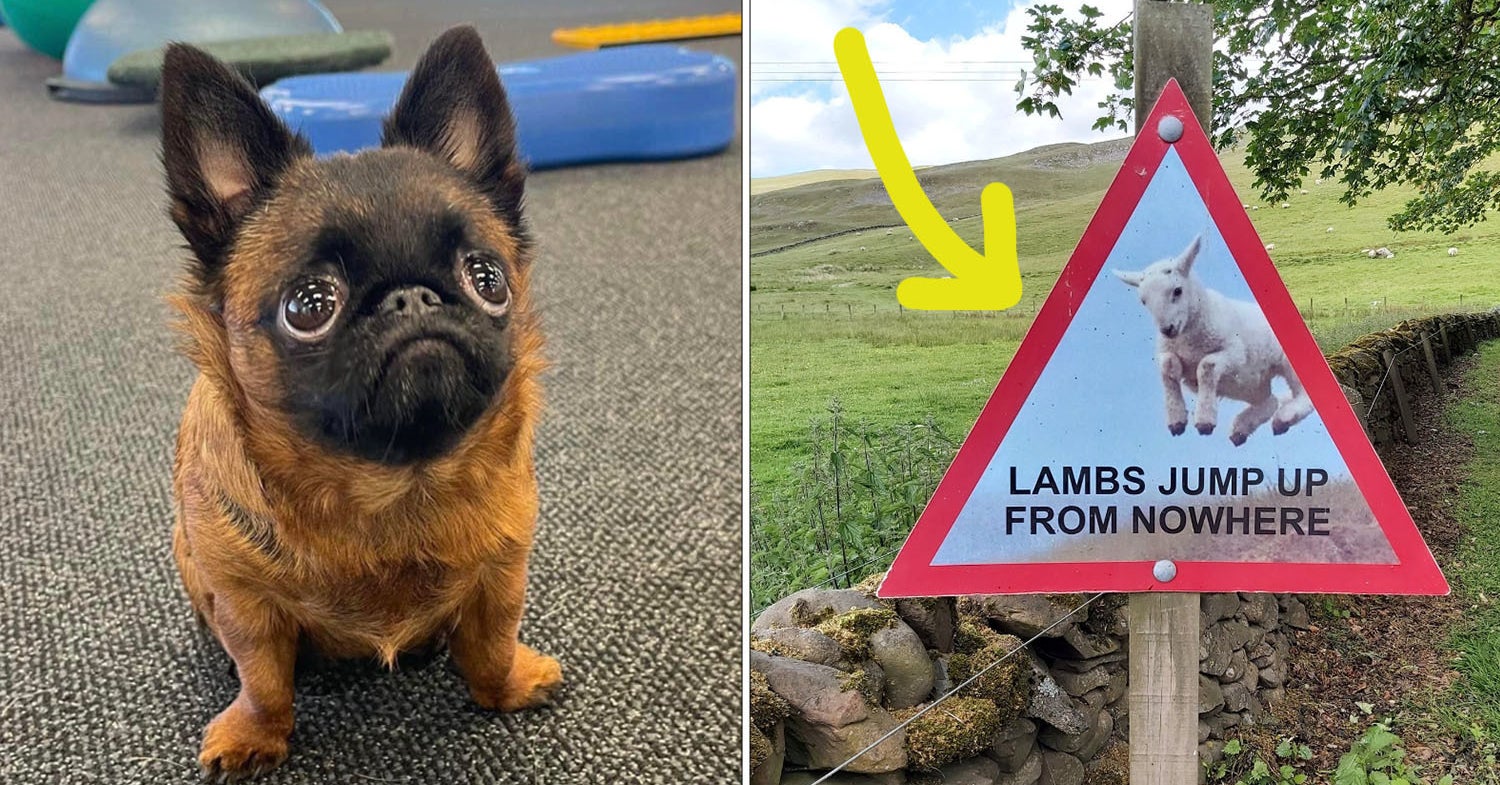 17 Good Things That Happened This Last Week That Prove There's Still A ...