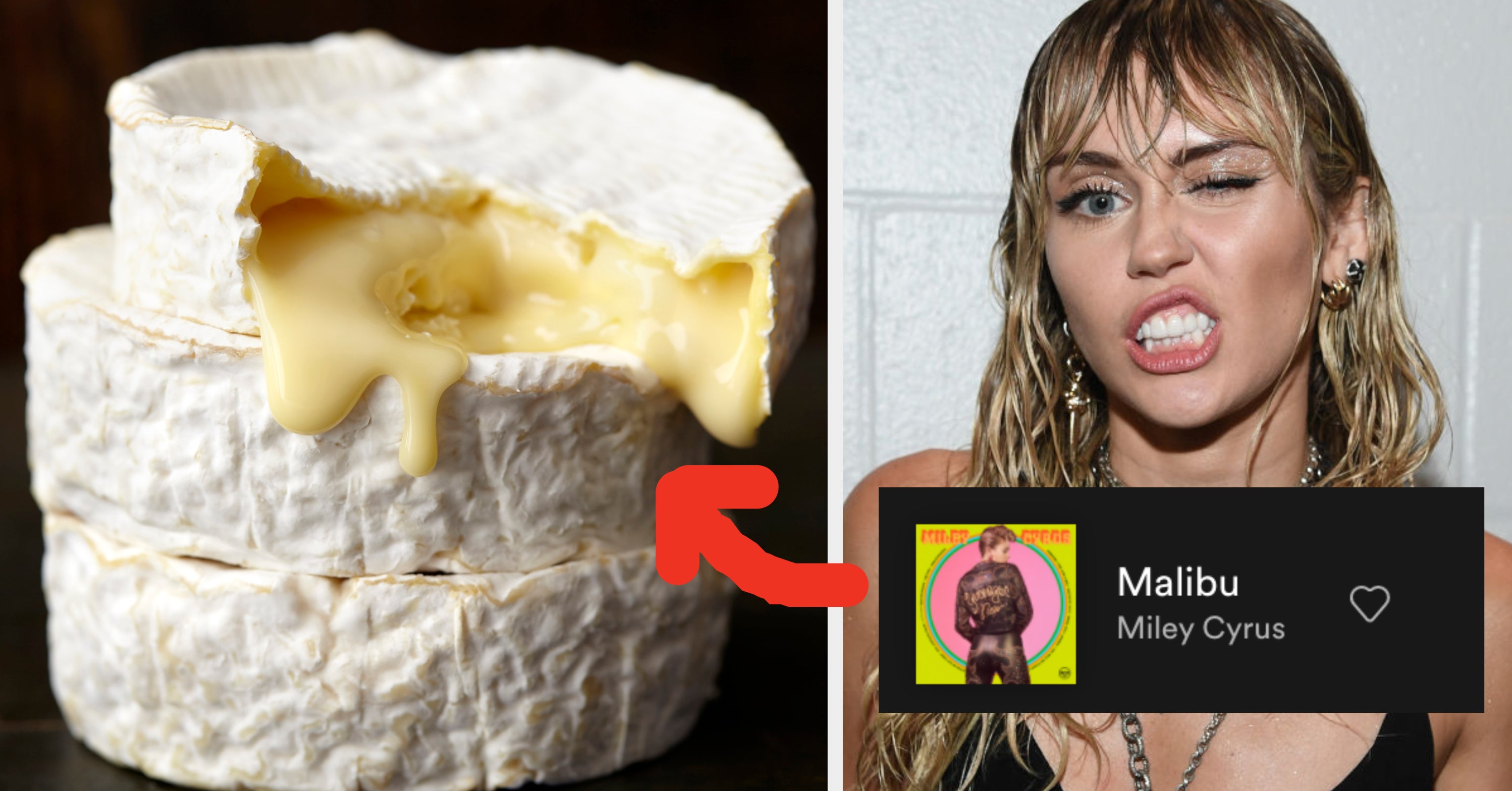 Your Music Taste Will Help Us Figure Out What Type Of Cheese You Are
