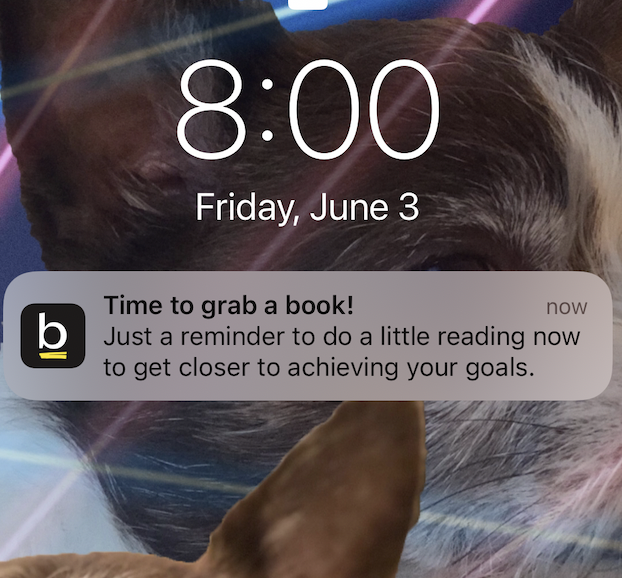 Basmo Reading Tracker App Review