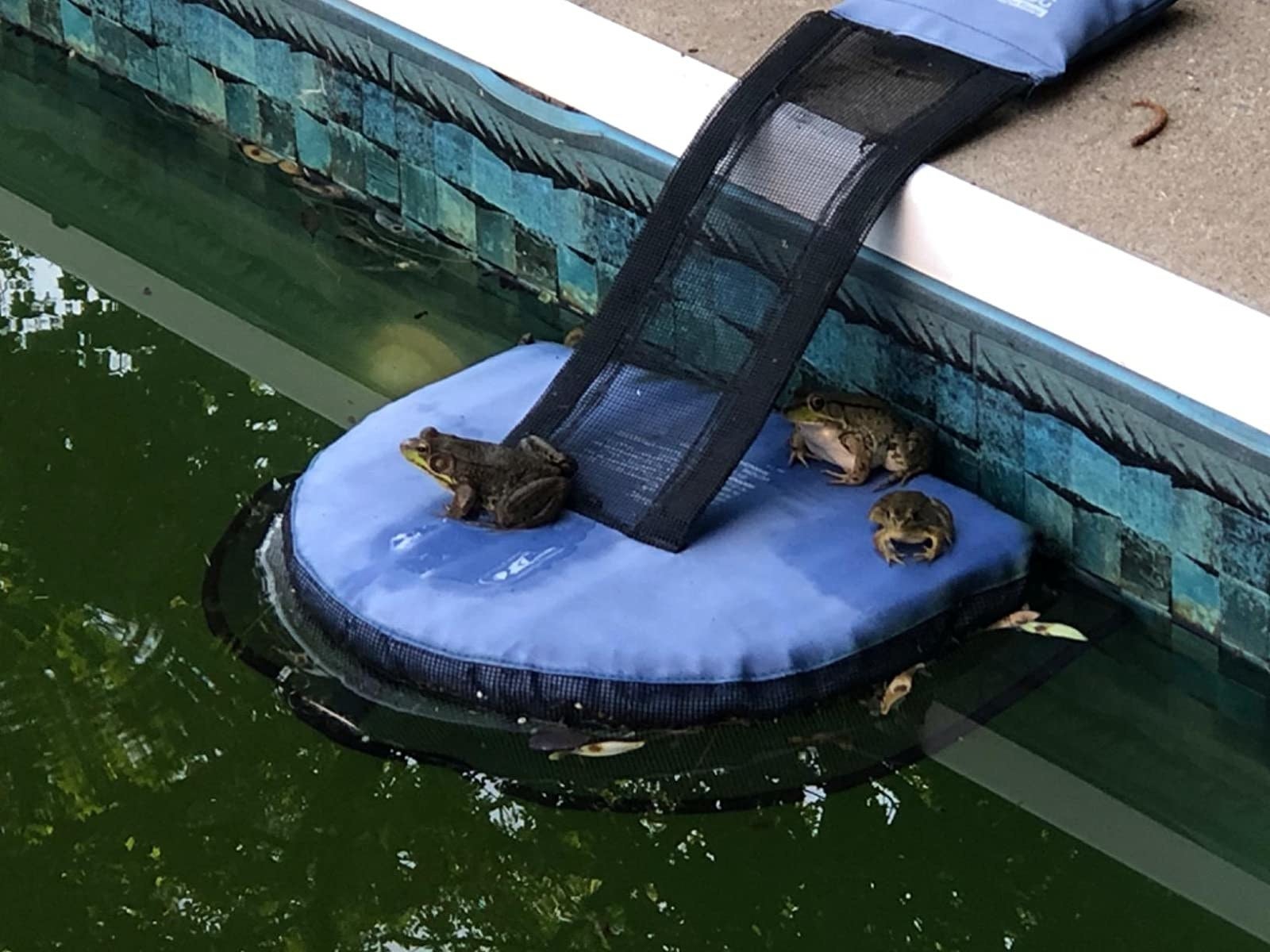27 Useful Products For Anyone Who Has A Pool
