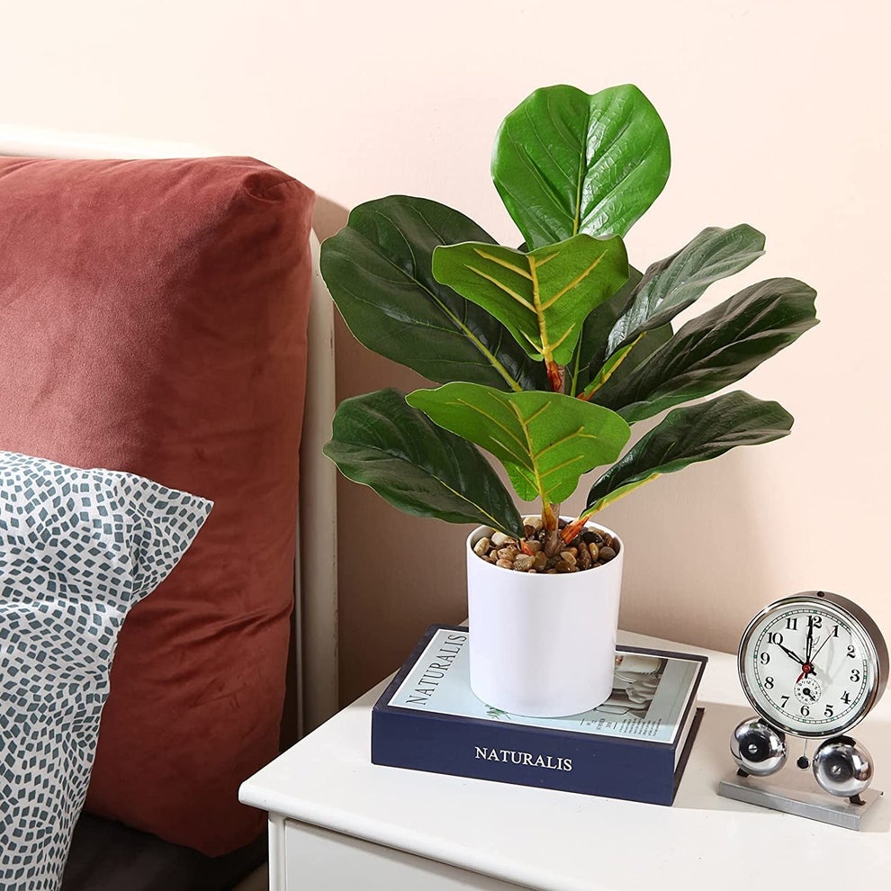 23 Random Things You'll Want To Buy Today